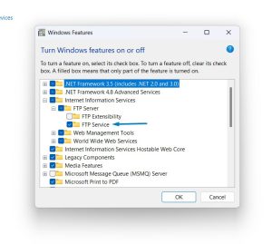 Enable FTP Publishing on a Web Server in Windows 11