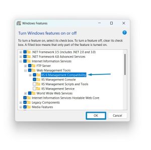 Enable IIS 6 Management Compatibility in Windows 11