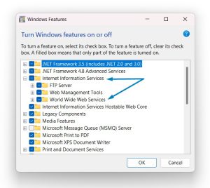 How to Enable Static Content Service IIS in Windows 11