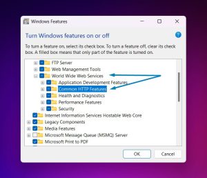 How to Enable Directory Browsing Service in IIS - Windows 11