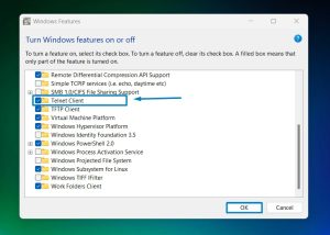 How to Enable Telnet Client in Windows 11? - Winsides.com