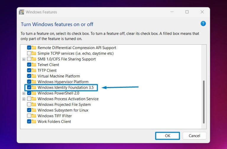 Enable Windows Identity Foundation 3.5 in Windows 11