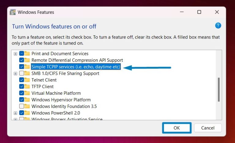 Enable Simple TCP/IP Services in Windows 11 - Winsides.com