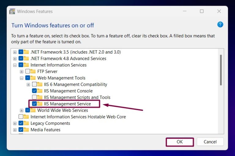 How To Enable Iis Management Service In Windows 11