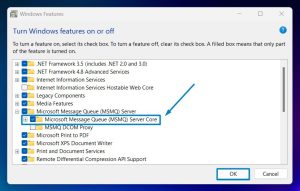 Enable Microsoft Message Queue Server Core in Windows 11