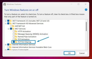 How to Enable TCP Port Sharing in Windows 11? - Winsides.com