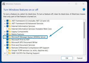 Enable MSMQ DCOM Proxy in Windows 11 - Winsides.com