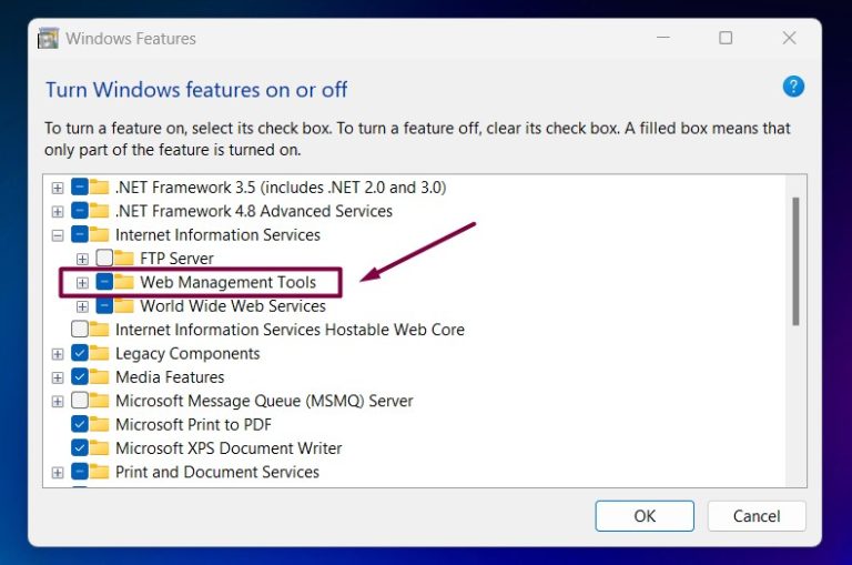 How to Enable IIS Management Service in Windows 11?