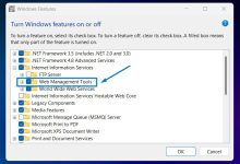 How to Enable IIS Management Console in Windows 11?