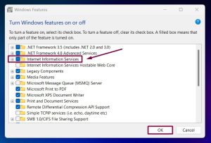 How to Enable IIS Management Service in Windows 11?