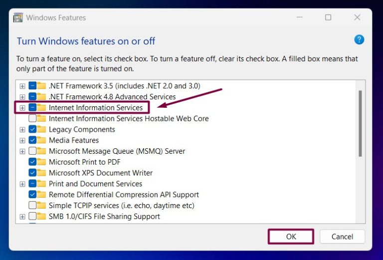 How to Enable IIS Management Service in Windows 11?