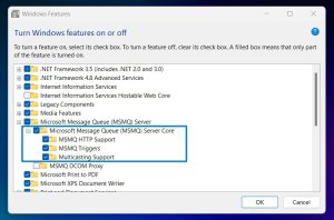 Enable Microsoft Message Queue Server Core in Windows 11