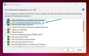 How to Enable ASP.NET 4.8 in Windows 11? - Winsides.com