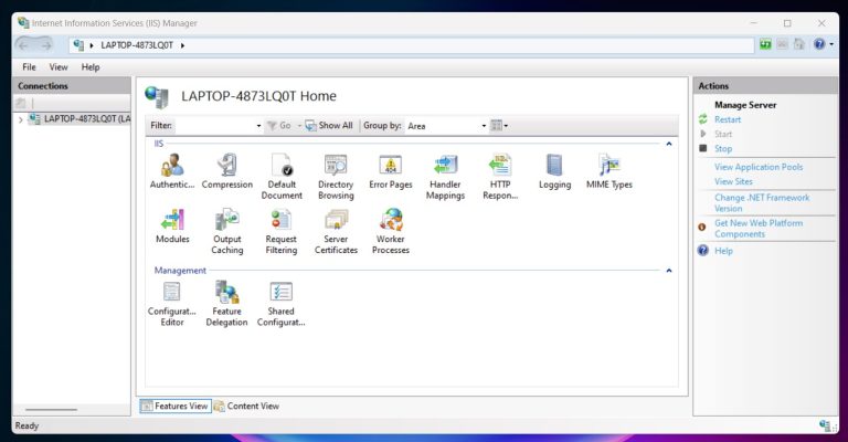 How to Enable IIS Management Console in Windows 11? How to Enable IIS Management Console in Windows 11?