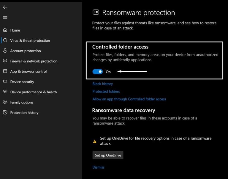 Manage Ransomware Protection in Windows 11? - Winsides.com