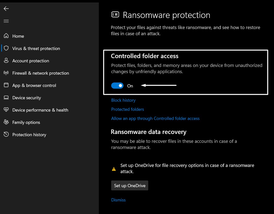 Manage Ransomware Protection in Windows 11? - Winsides.com