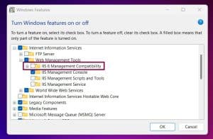 Enable IIS 6 Metabase and IIS Configuration Compatibility in Windows 11
