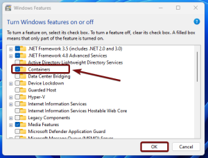 How do I Enable Containers in Windows 11? - Winsides.com