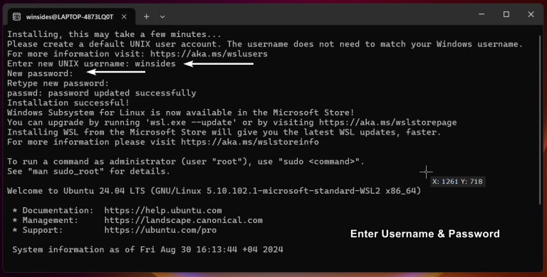 Install and Run X Server in Windows 11 OS - Winsides.com