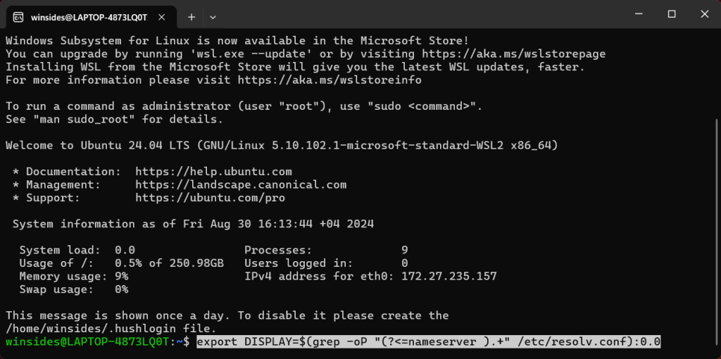 Install and Run X Server in Windows 11 OS - Winsides.com
