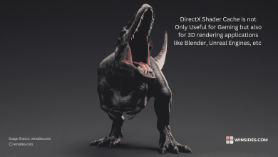 What is DirectX Shader Cache on Windows 11 OS?