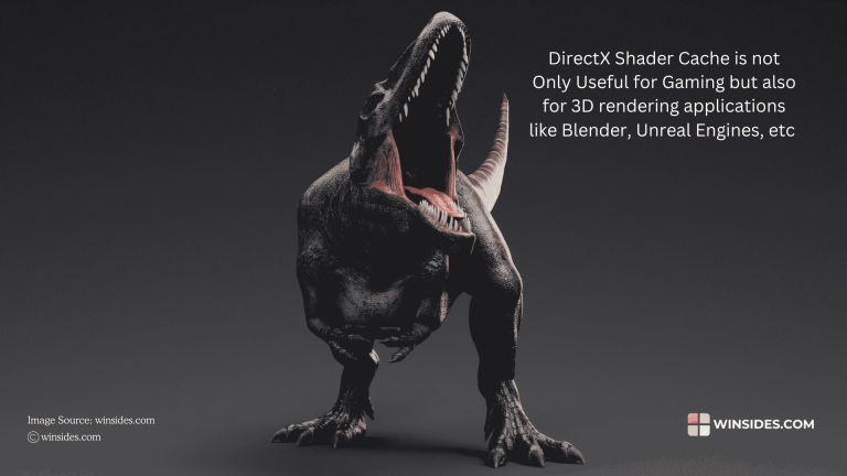 What is DirectX Shader Cache on Windows 11 OS?